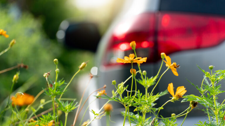 Spring Car Washing Matters More Than You Think During Pollen Season